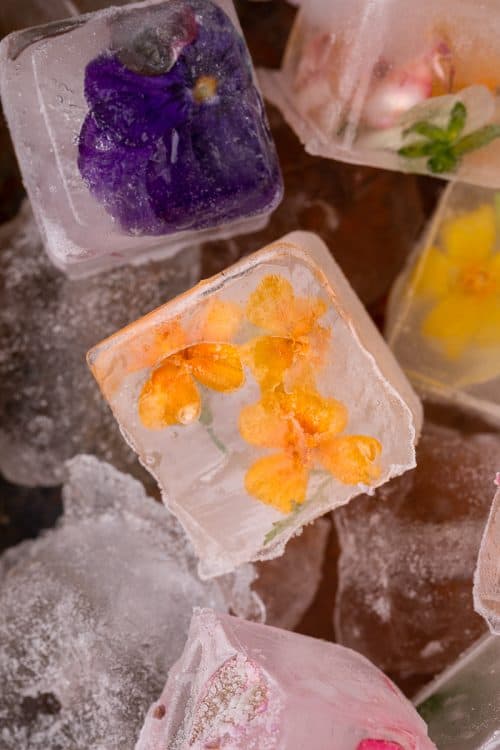 Edible Flower Ice Cubes - A Classic Twist
