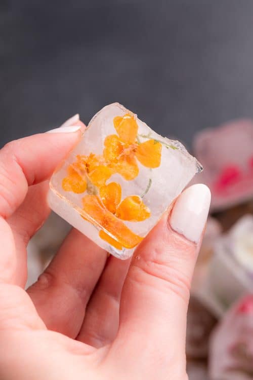 Edible Flower Ice Cubes - A Classic Twist