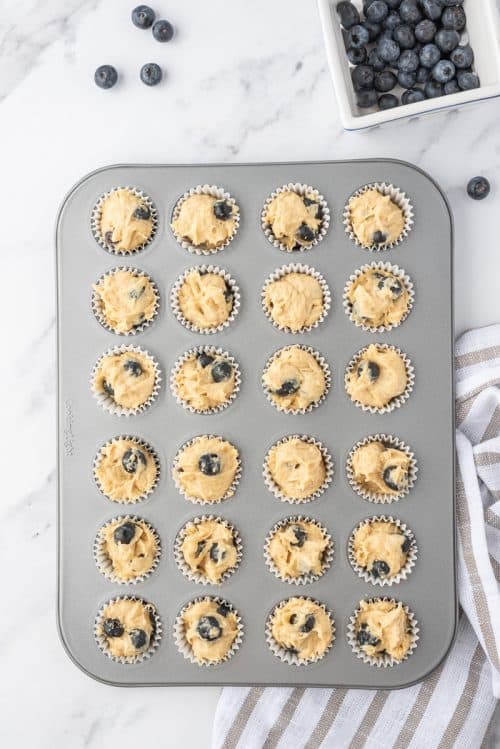 Mini Coconut Cupcakes with Blueberries - A Classic Twist
