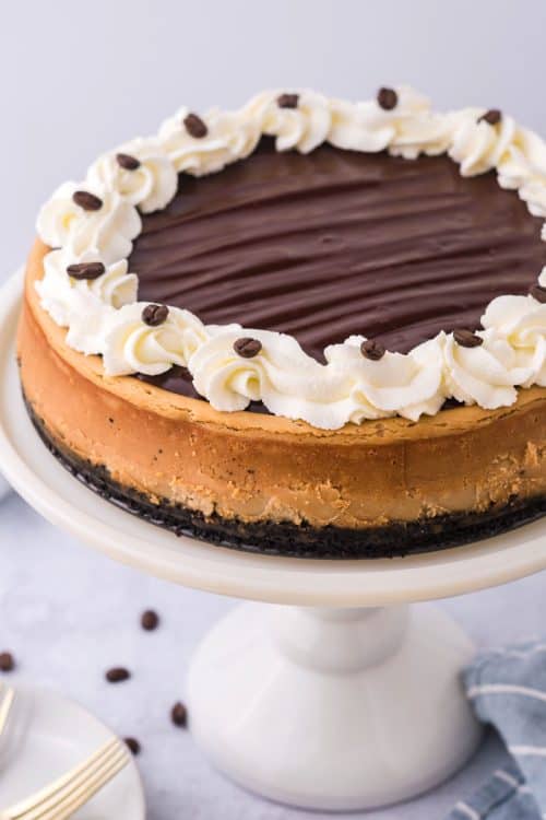 Mocha Cheesecake - A Classic Twist