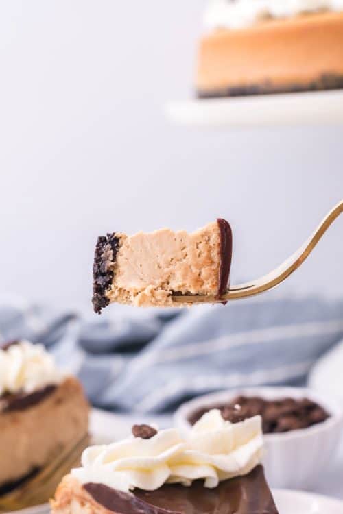 Mocha Cheesecake - A Classic Twist