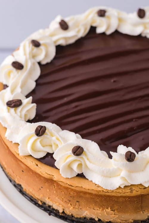 Mocha Cheesecake - A Classic Twist