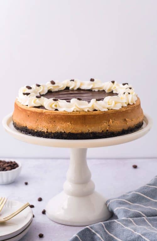 Mocha Cheesecake - A Classic Twist