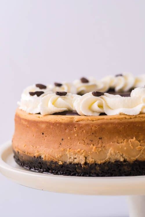 Mocha Cheesecake - A Classic Twist