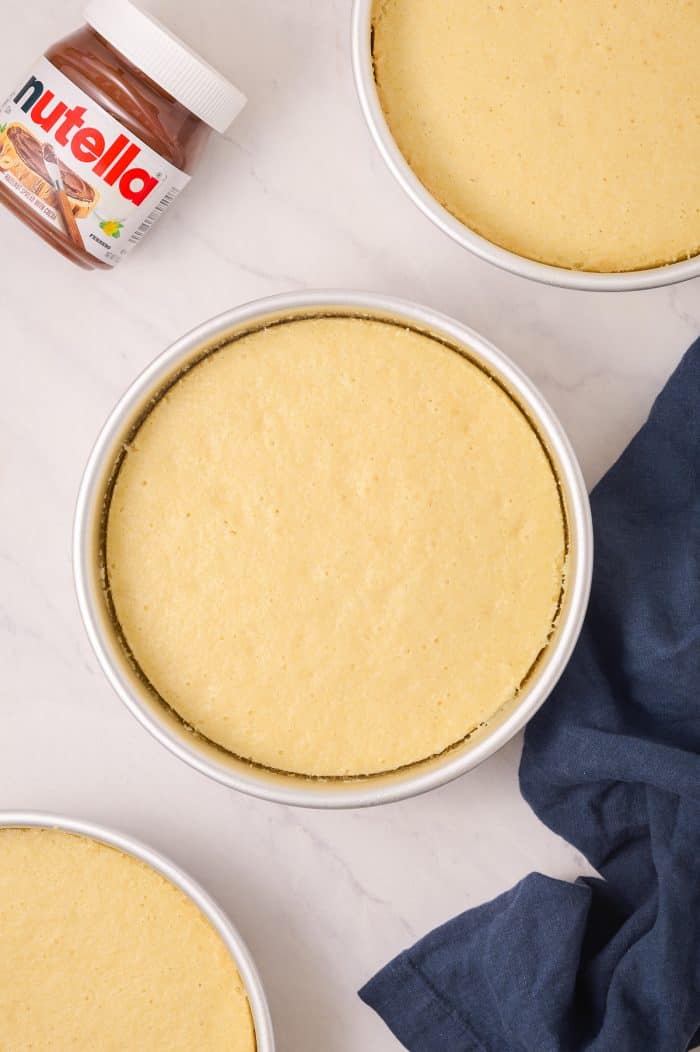 Vanilla Bean Cake with Nutella Frosting - A Classic Twist
