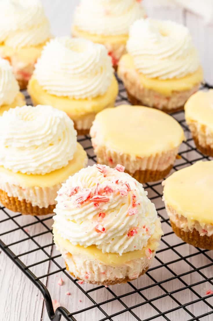 Mini White Chocolate Peppermint Cheesecakes - A Classic Twist