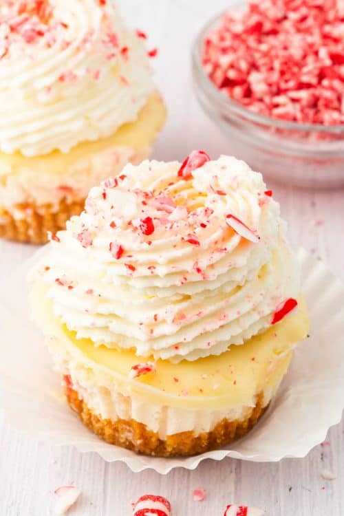 Mini White Chocolate Peppermint Cheesecakes - A Classic Twist